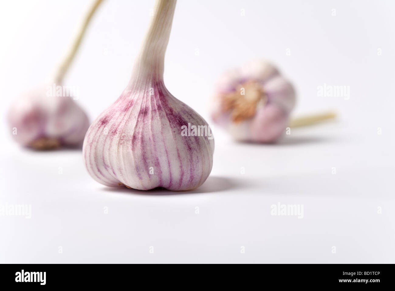 White garlic bulbs hi-res stock photography and images - Alamy