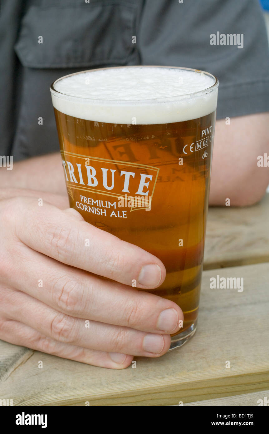 A pint of beer - Tribute Stock Photo - Alamy