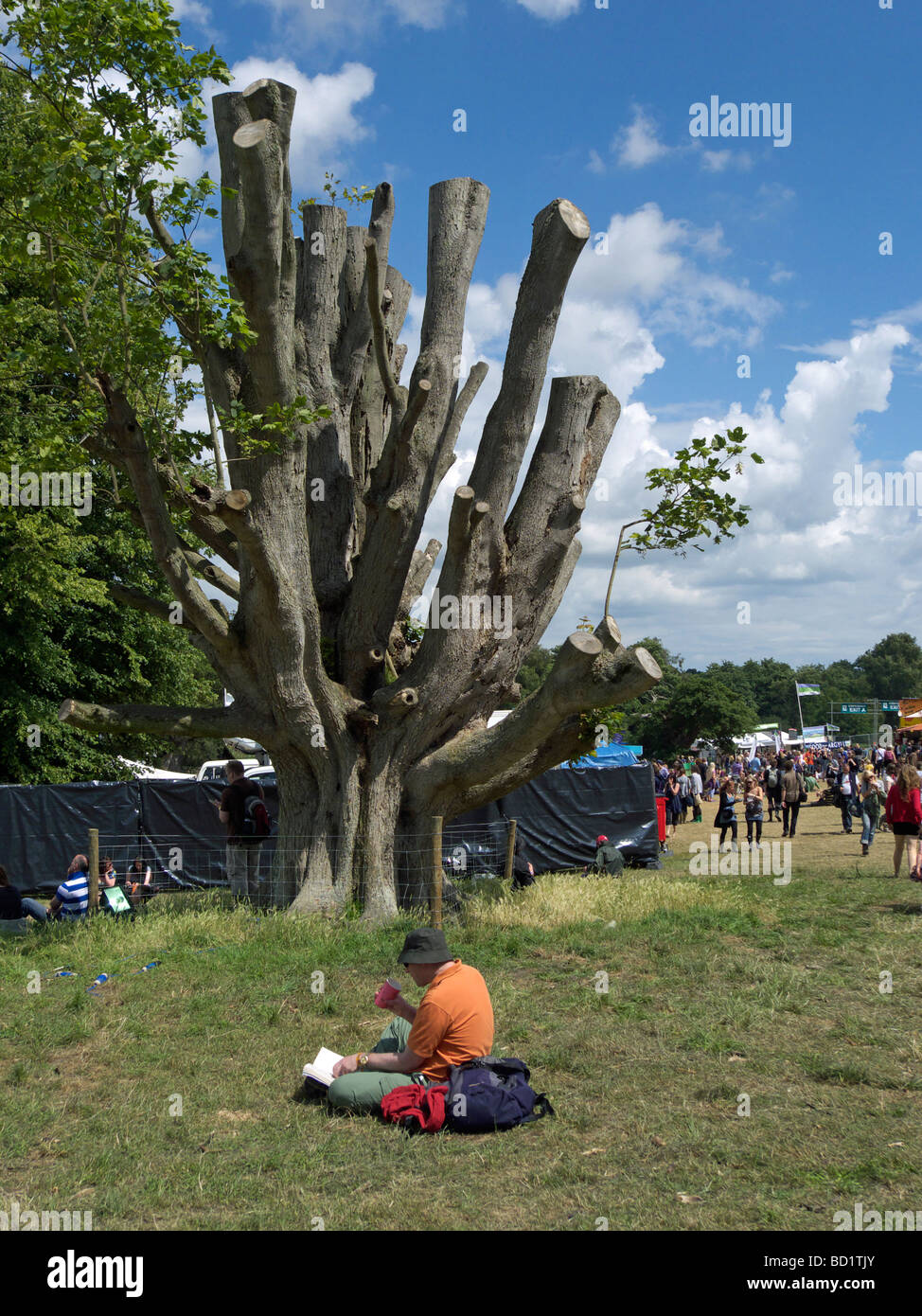 Man relaxing at the Latitude cultural festival. Henham Park, Southwold ...