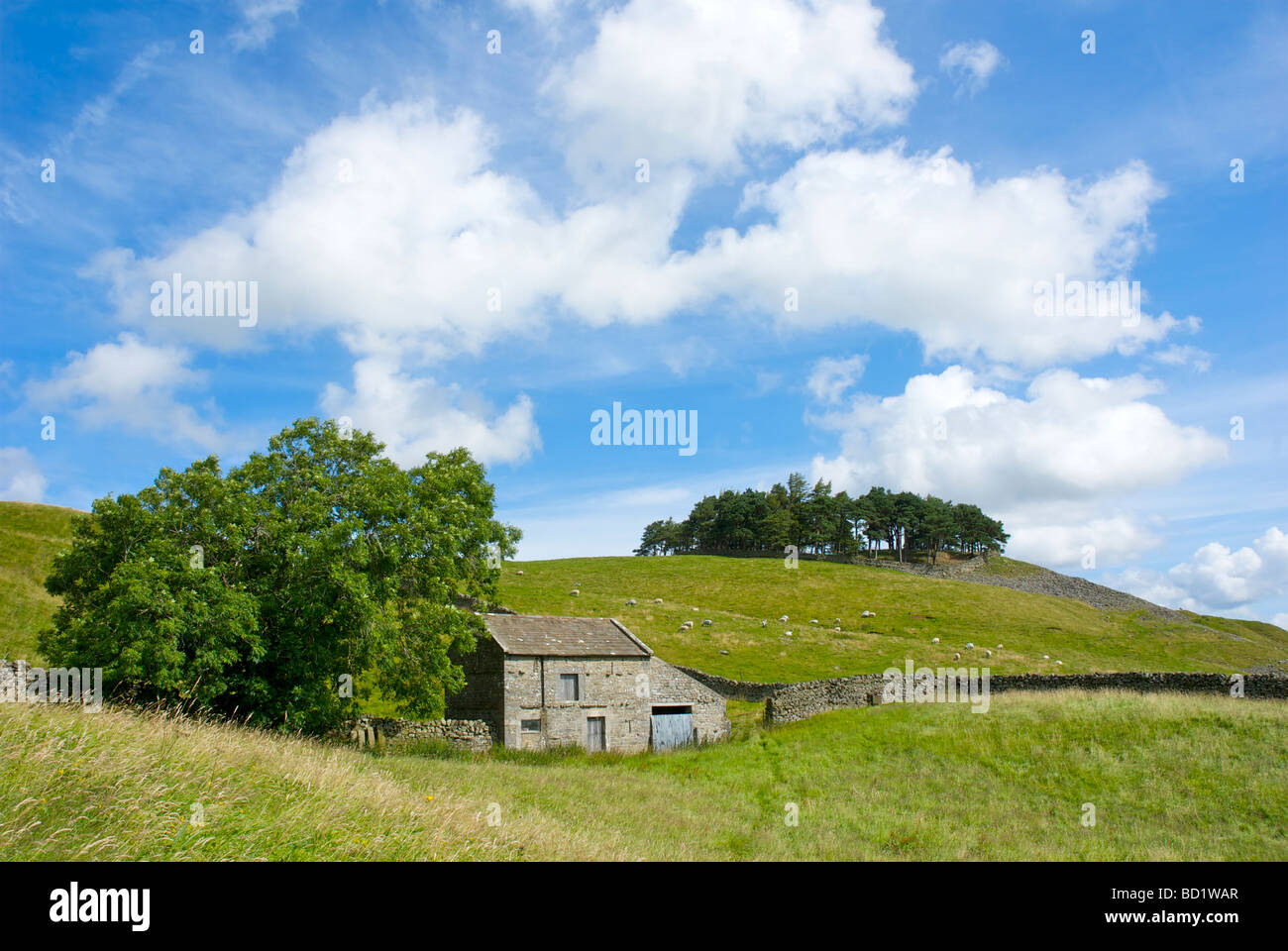 Kirkcarrion tumulus, Middleton-in-Teesdale, County Durham, England UK ...