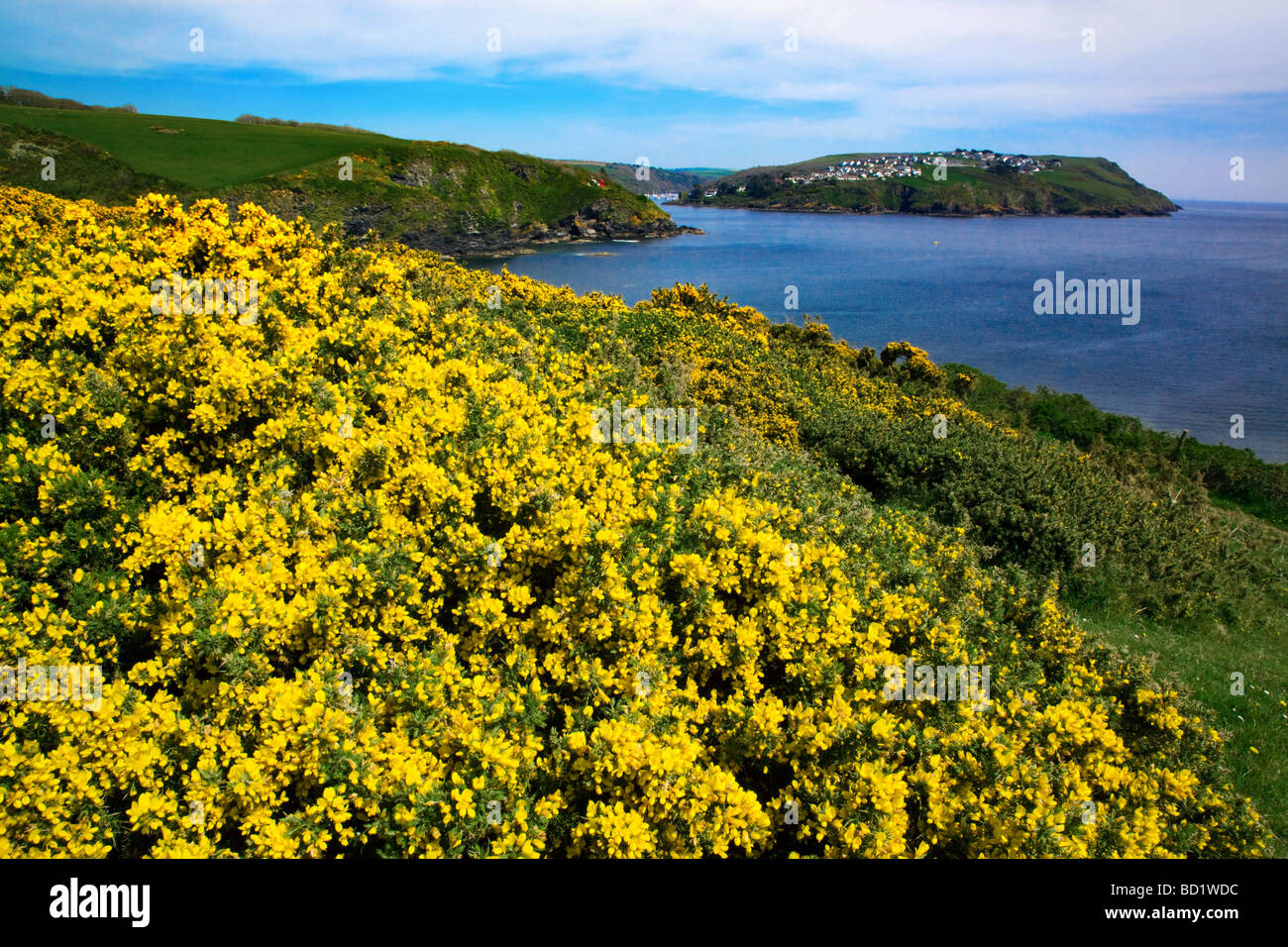 View Fowey From Polruan Fowey High Resolution Stock Photography and ...
