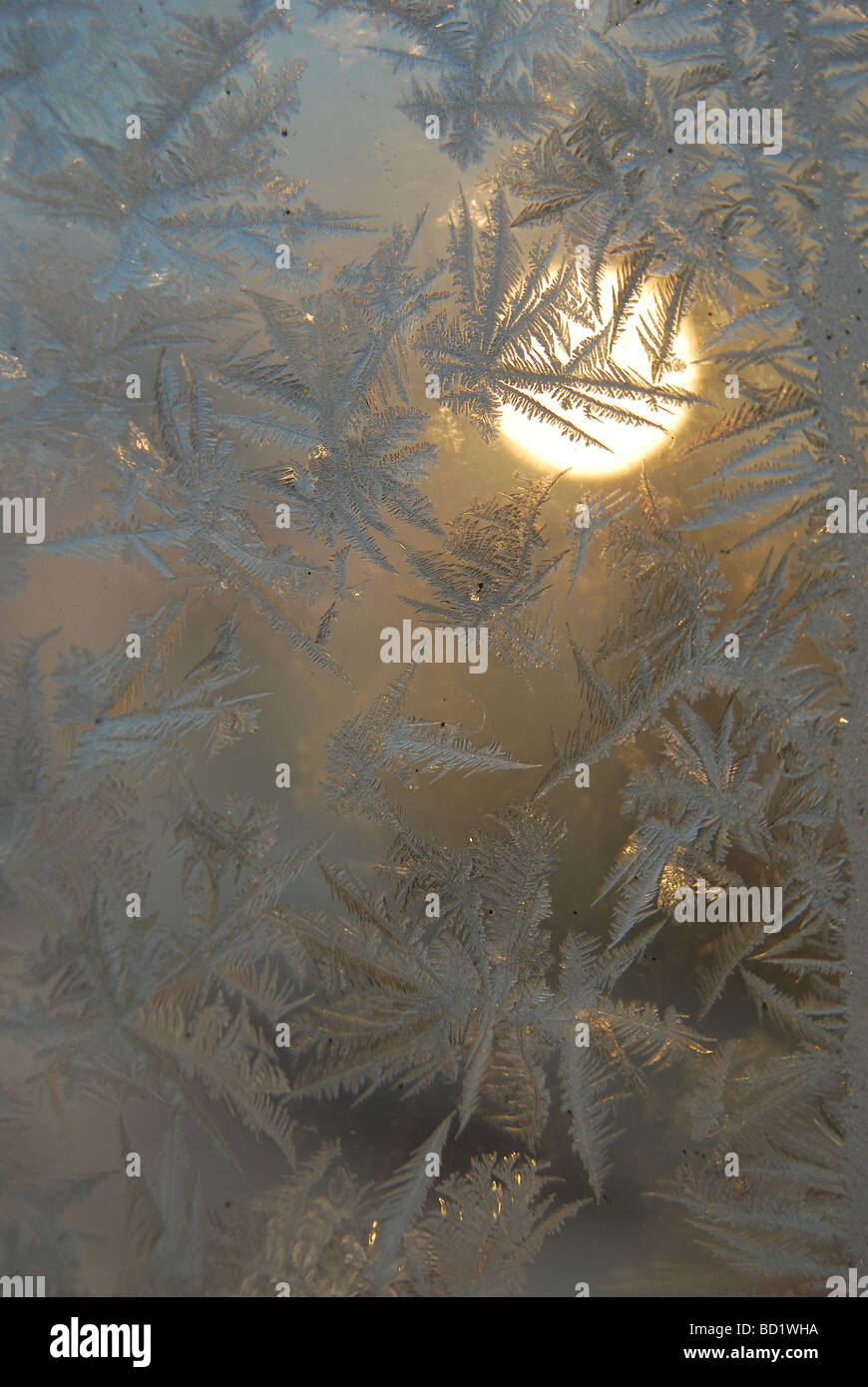 Jack frost on window hi-res stock photography and images - Alamy