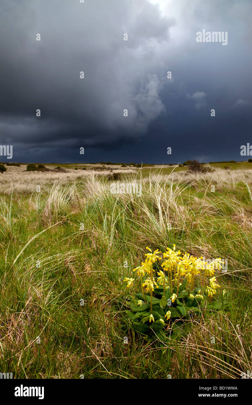 Penhale hi-res stock photography and images - Alamy