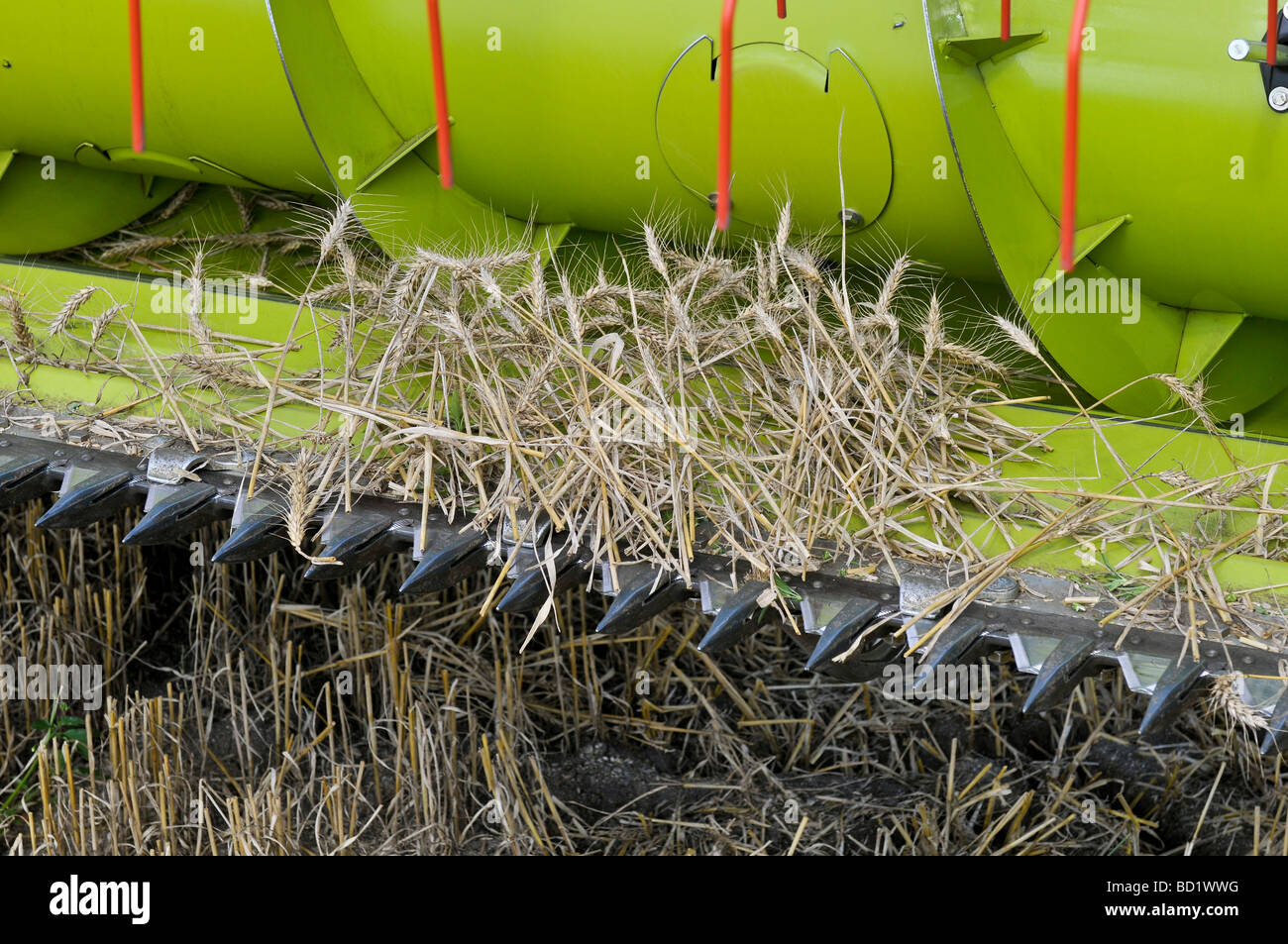 Cutter bar hi-res stock photography and images - Alamy