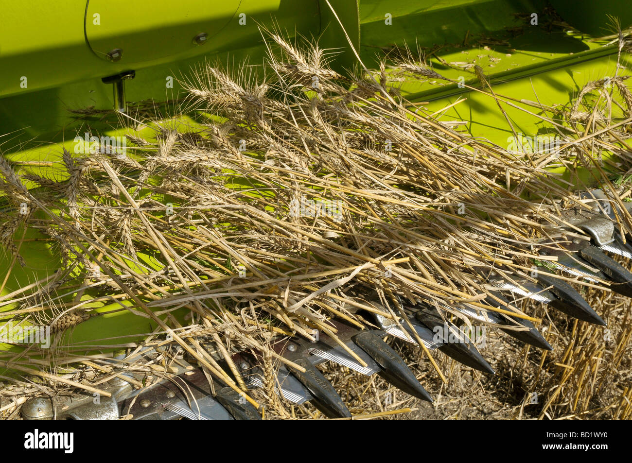 Cutter bar hi-res stock photography and images - Alamy