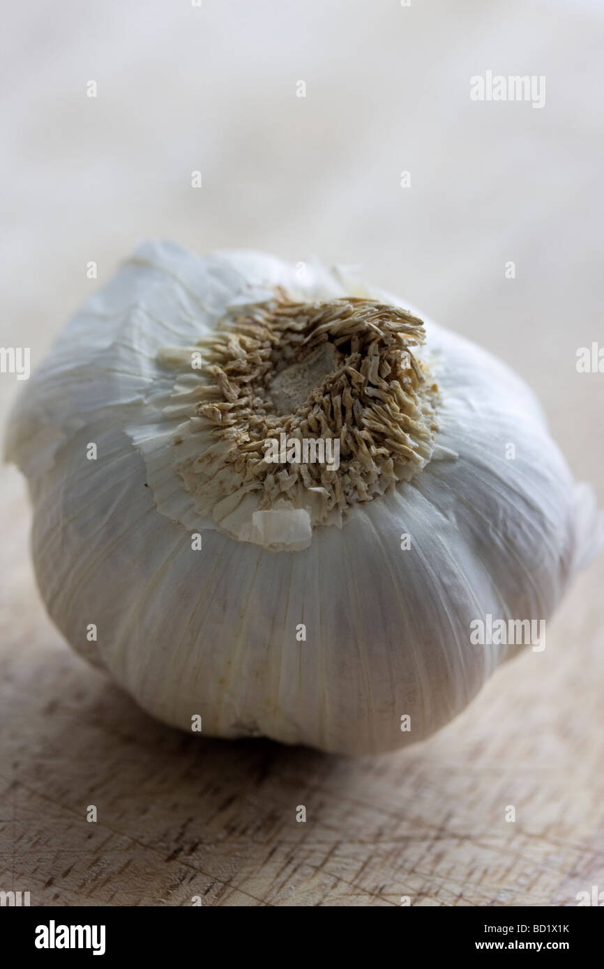 Garlic bulb clove hi-res stock photography and images - Alamy