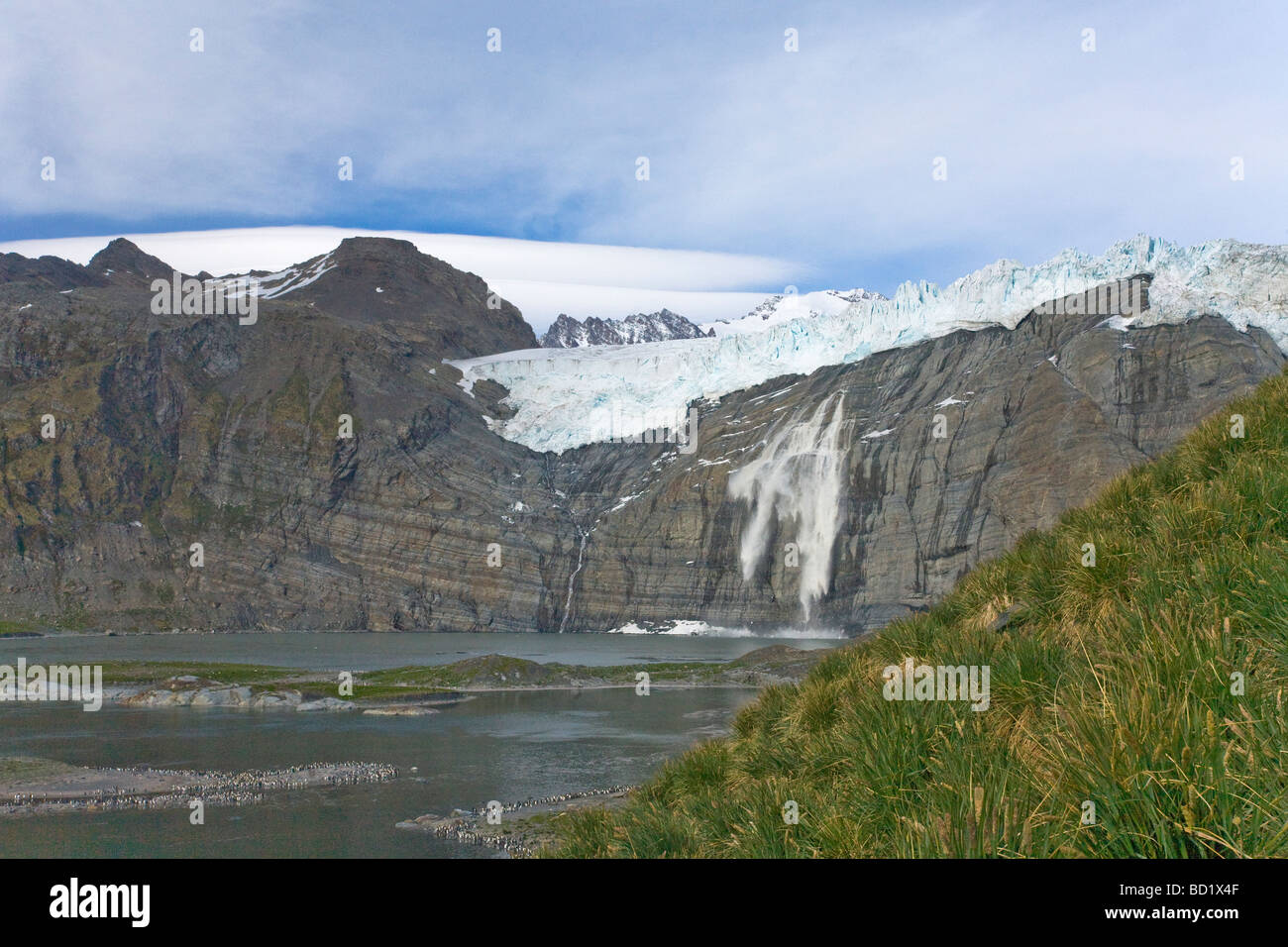 Avalanche falling from hanging glacier at Gold Harbour South Georgia ...