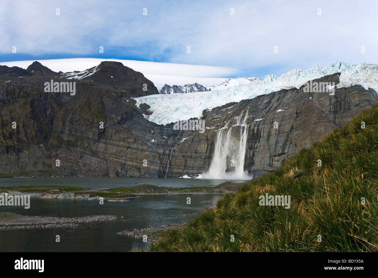Avalanche falling from hanging glacier at Gold Harbour South Georgia ...