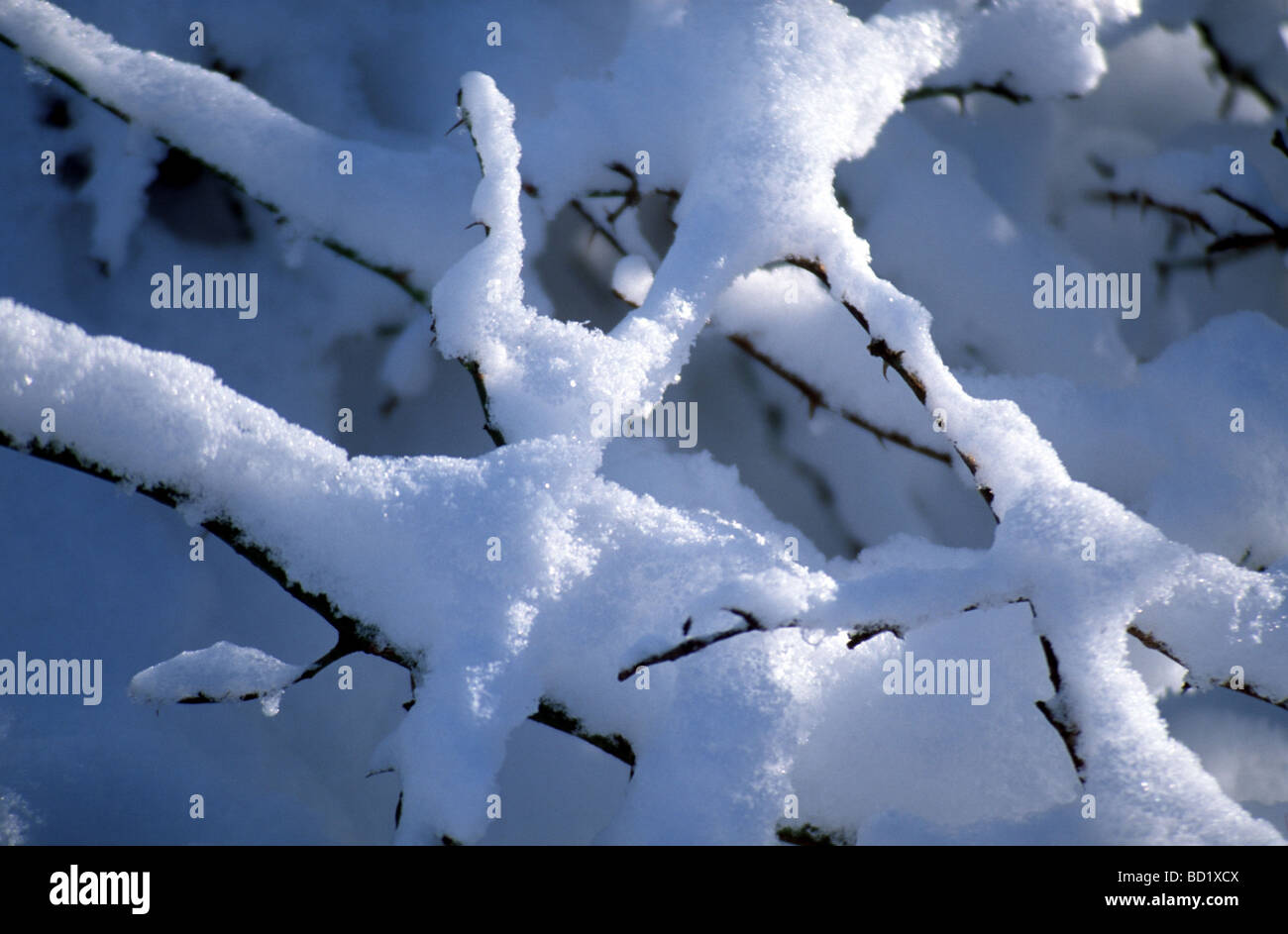Snowfall Winter scenes Stock Photo - Alamy