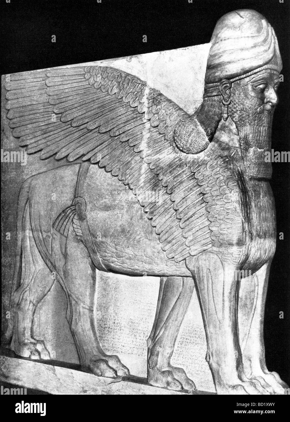 Assyrian relief dog hi-res stock photography and images - Alamy