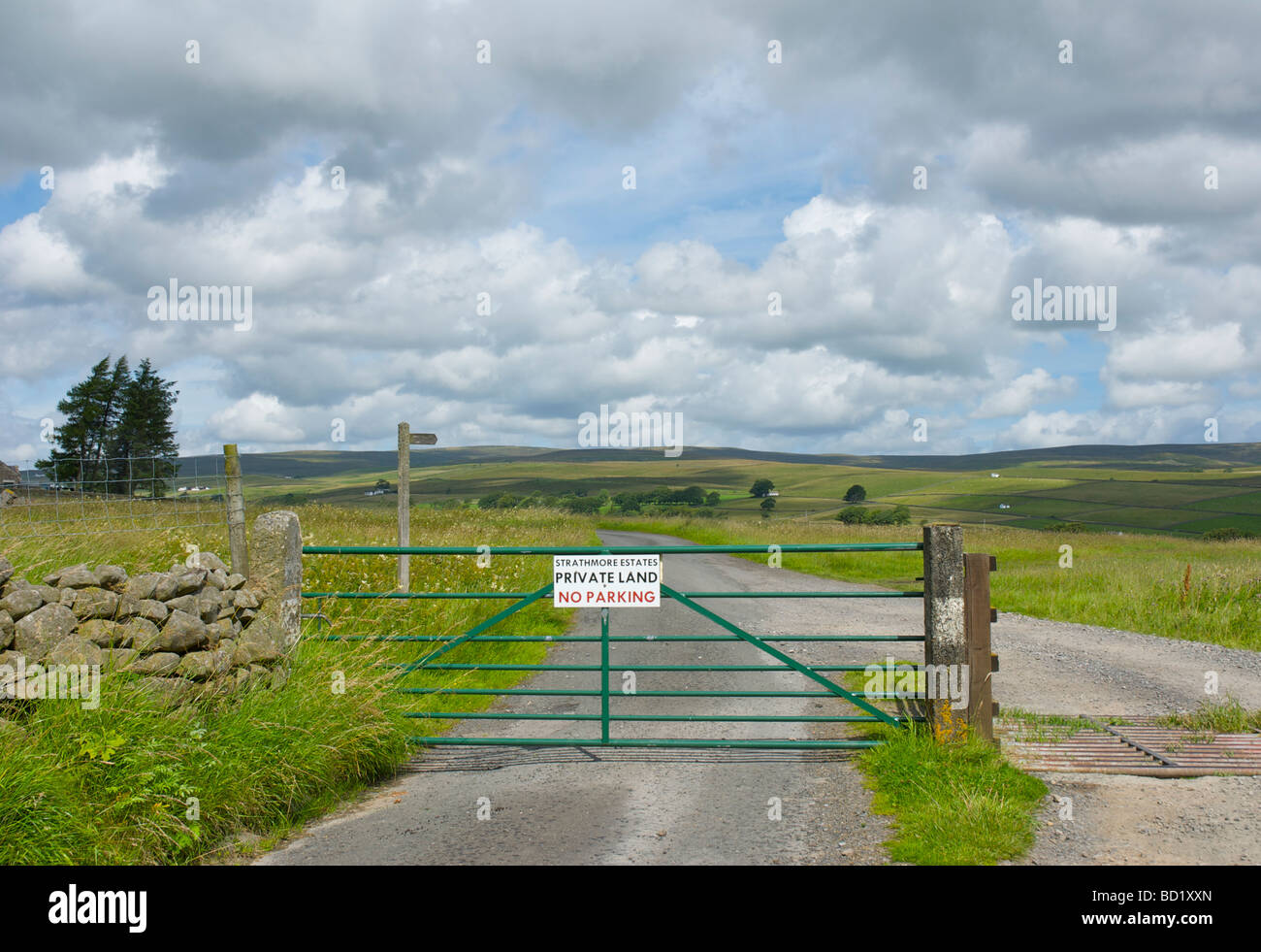 Cattle road sign uk hi-res stock photography and images - Alamy