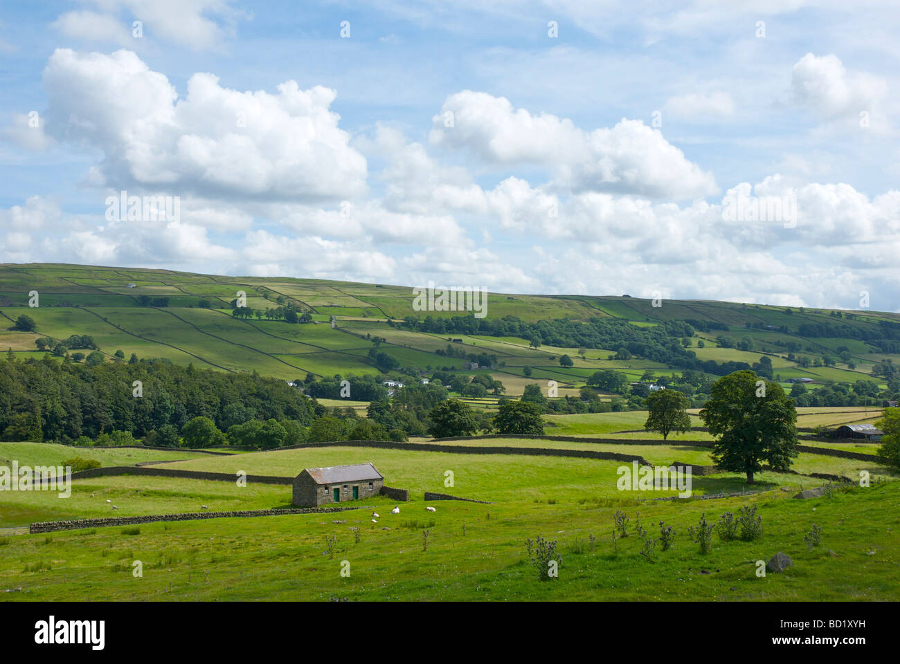Field barn near Middleton-in-Teesdale, County Durham, England UK Stock ...