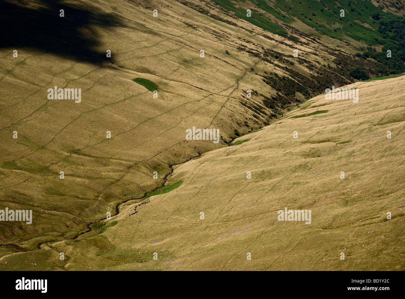 Sere hi-res stock photography and images - Alamy