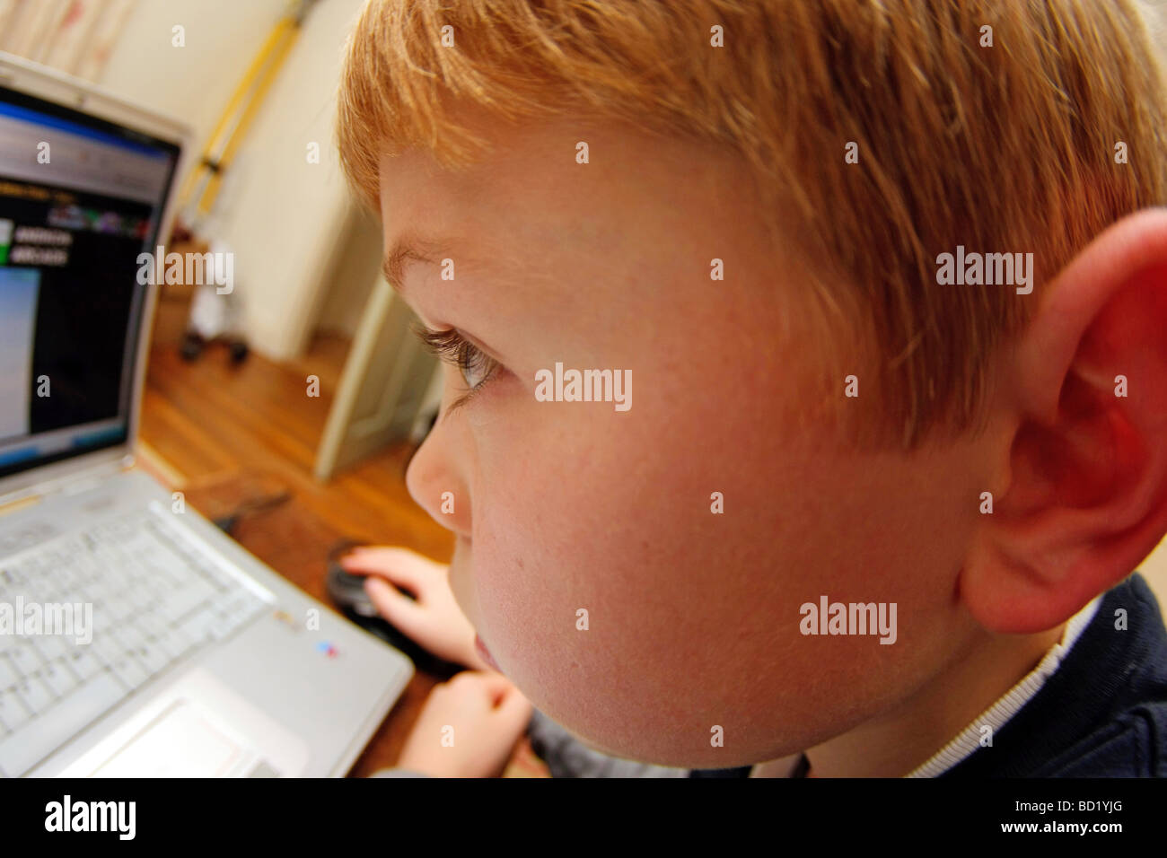 Young boy eight years old looking at laptop computer Stock Photo - Alamy