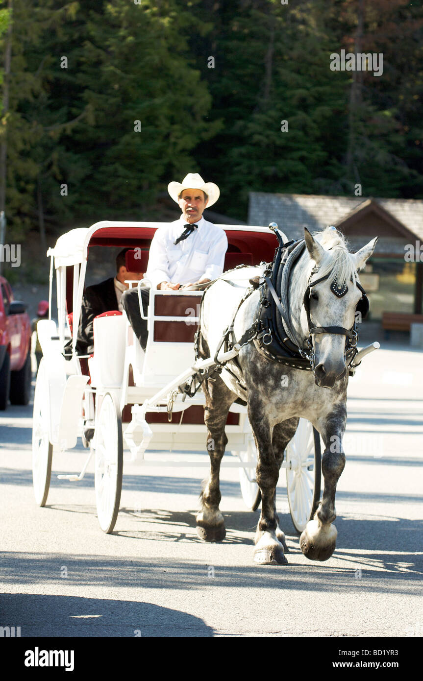 Western horse carriage hi-res stock photography and images - Alamy