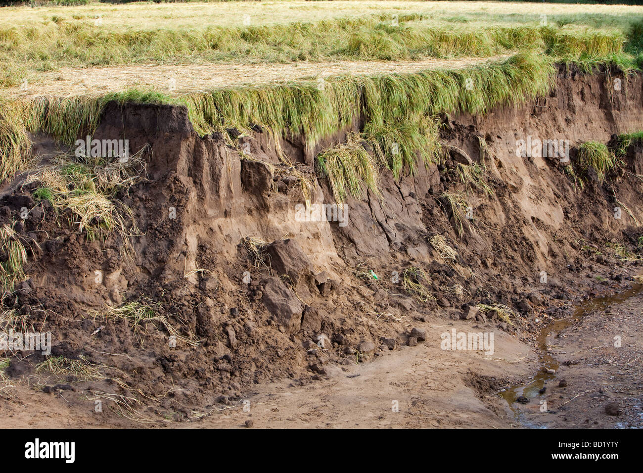 Soil Erosion Damage Stock Photos & Soil Erosion Damage Stock Images - Alamy