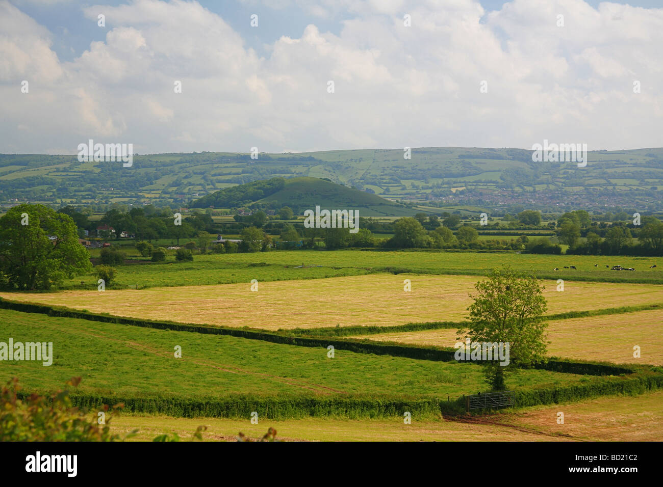 The Mendips Hills and Somerset Levels as seen from Wedmore, Somerset ...