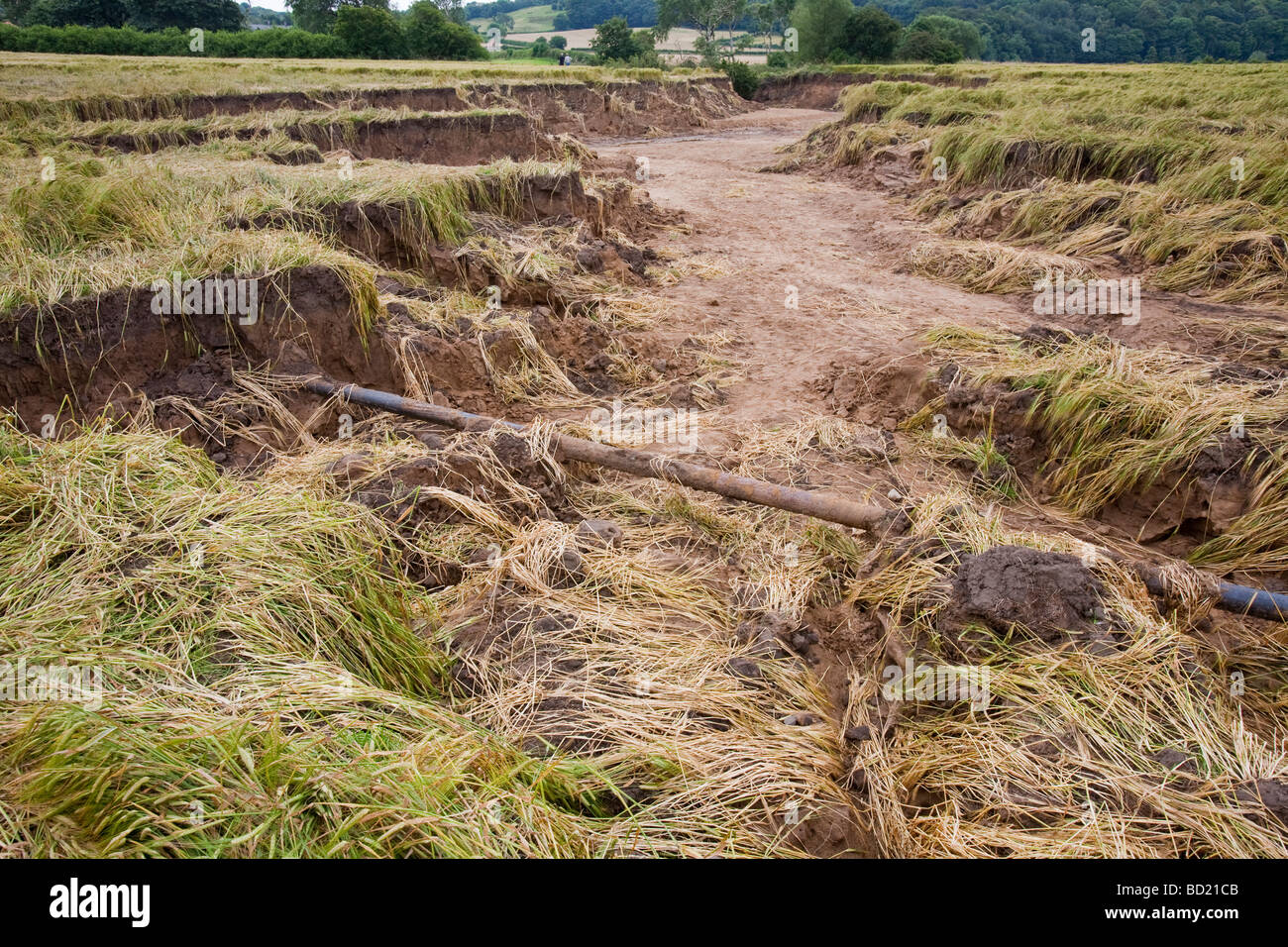 erosion damage caused by flooding which created the Durham Canyon as a ...