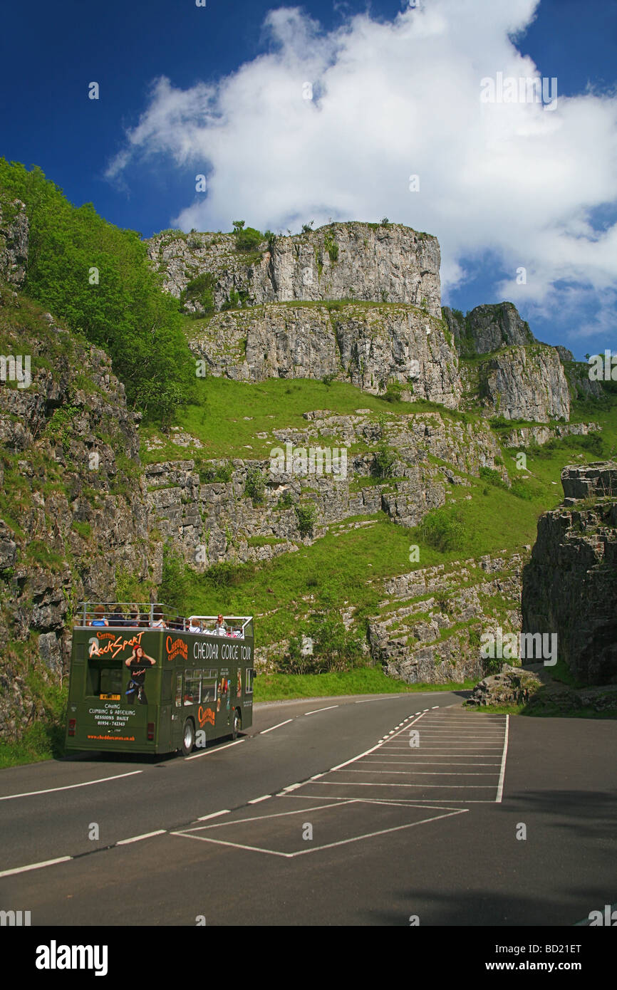 The Cheddar Gorge tour bus makes it way through the gorge with visitors ...