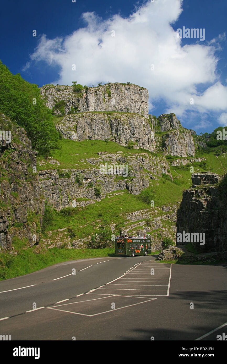 The towering limestone cliffs and tour bus in Cheddar Gorge, Somerset ...