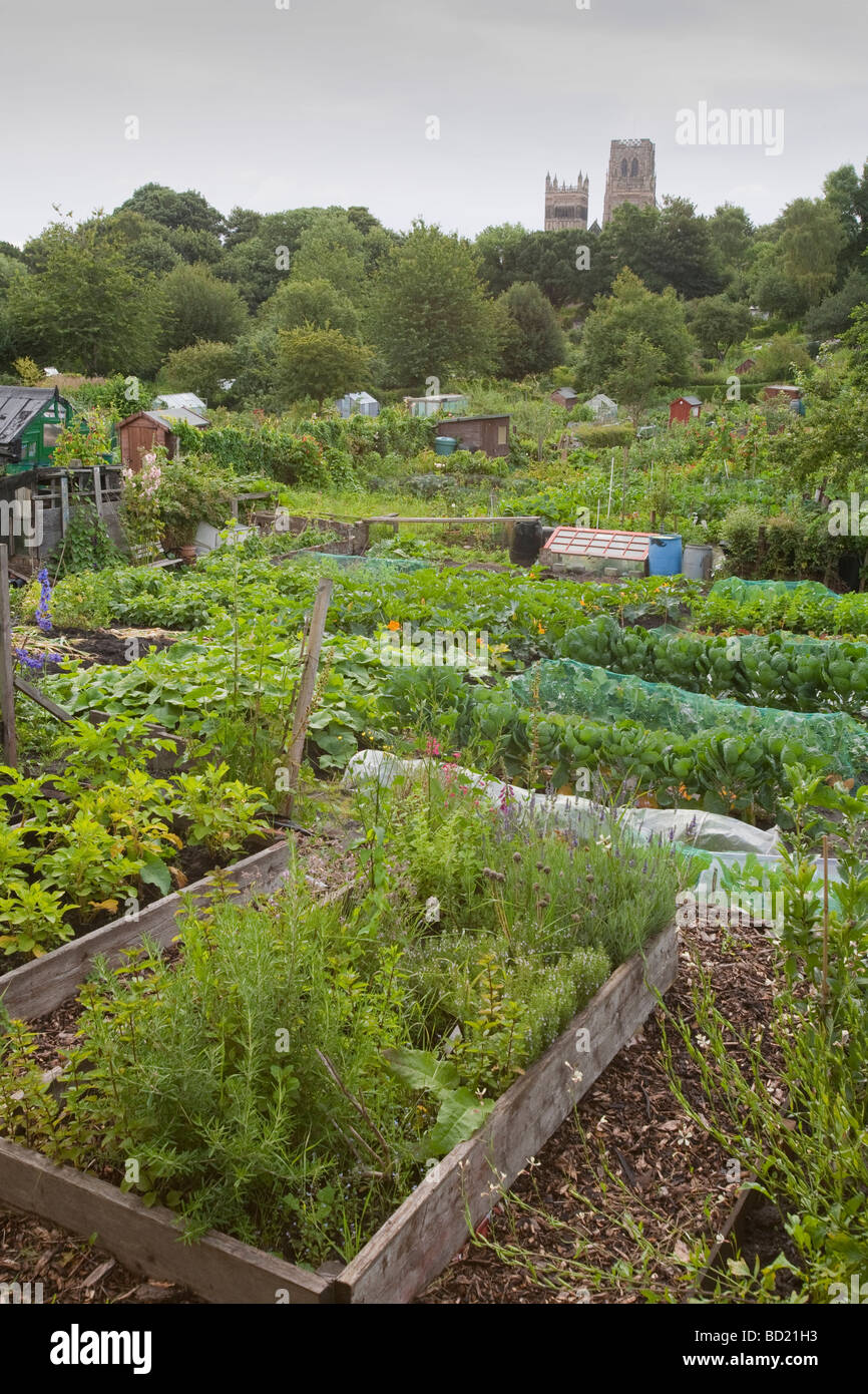 Allotments uk hi-res stock photography and images - Alamy