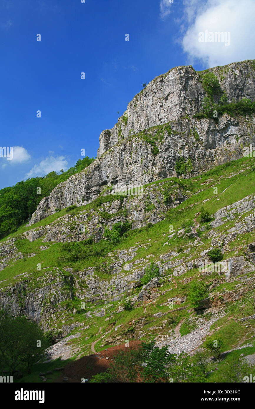 The towering limestone cliffs in Cheddar Gorge, Somerset, England, UK ...