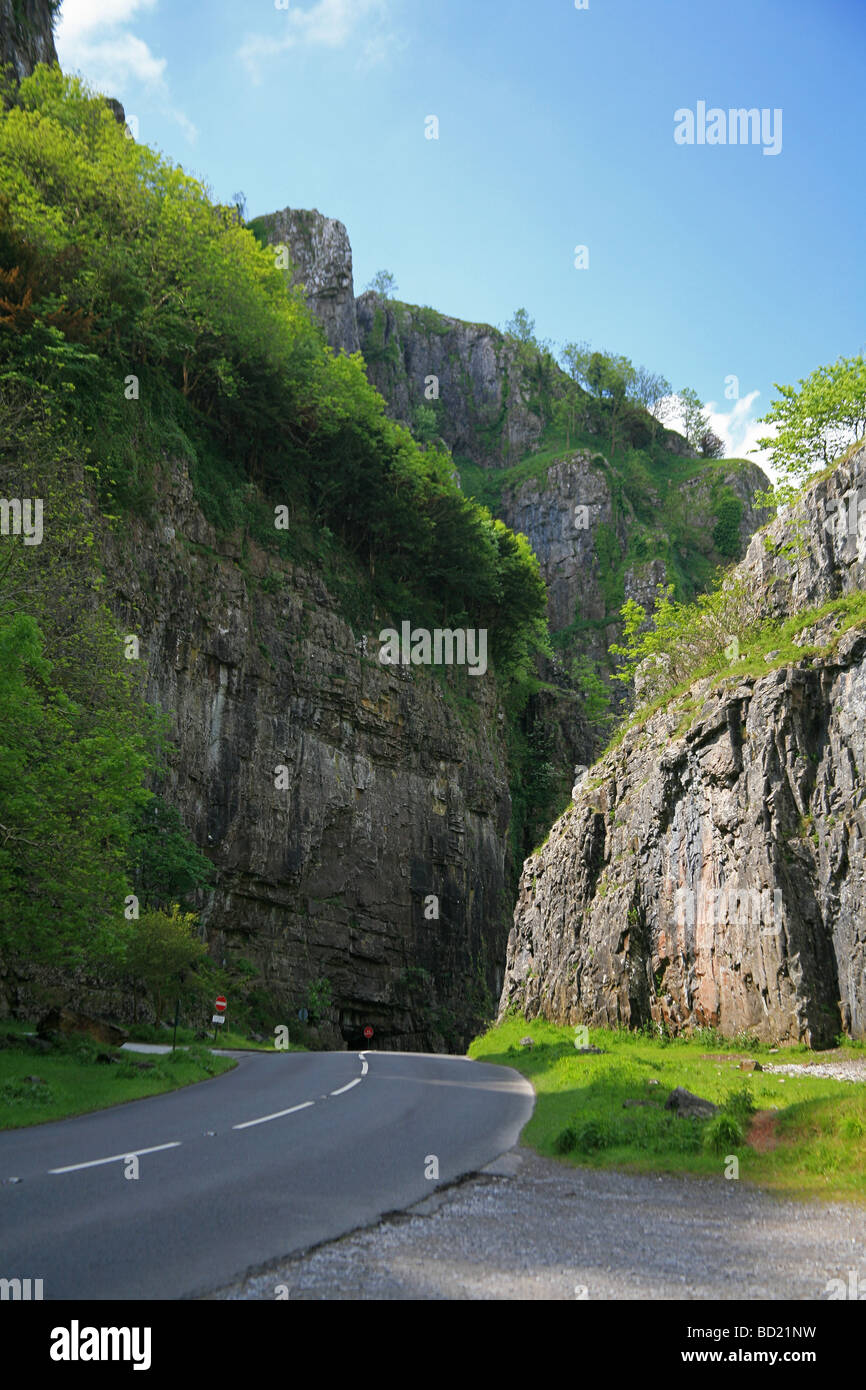 The towering limestone cliffs in Cheddar Gorge, Somerset, England, UK ...