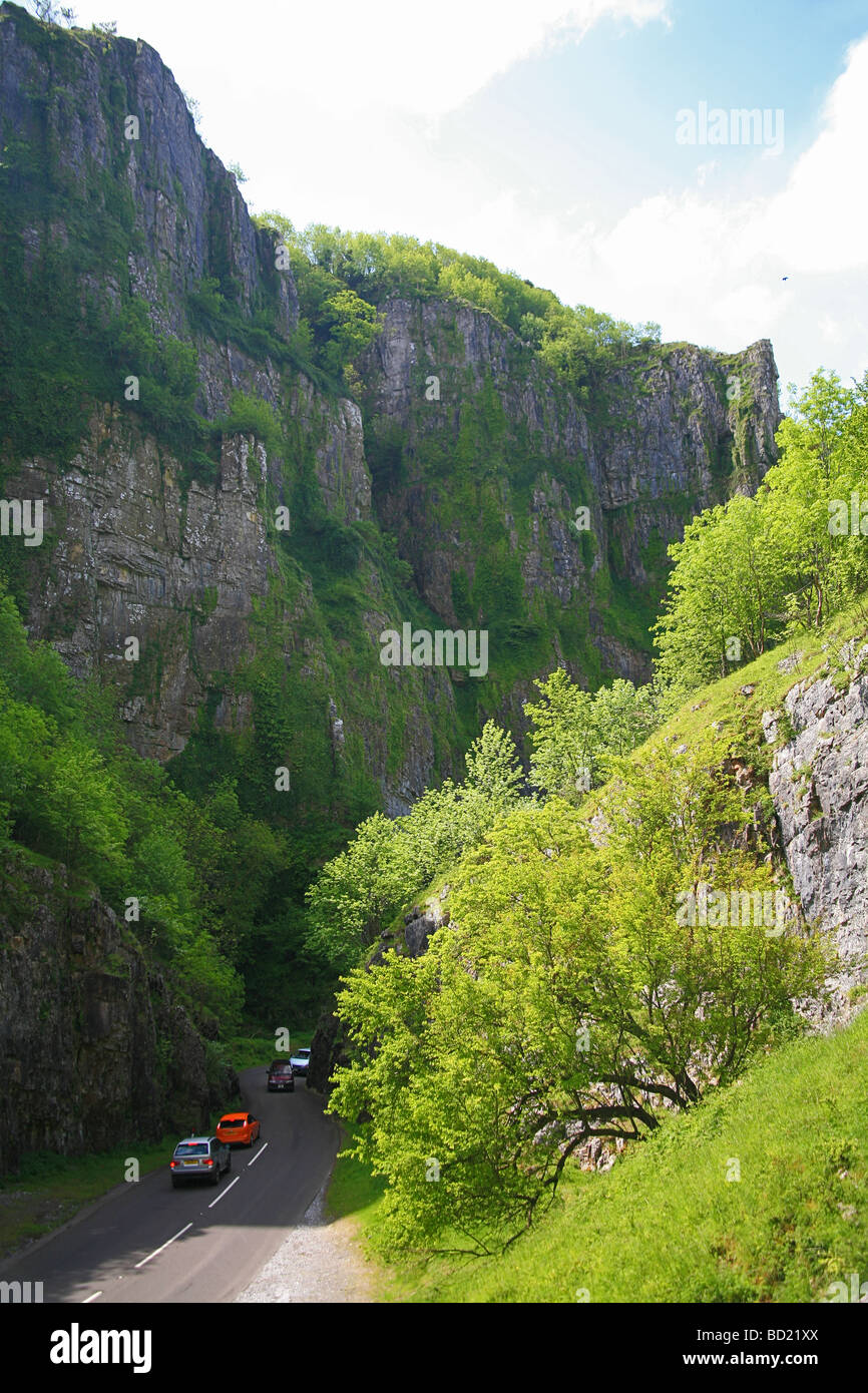 The towering limestone cliffs in Cheddar Gorge, Somerset, England, UK ...