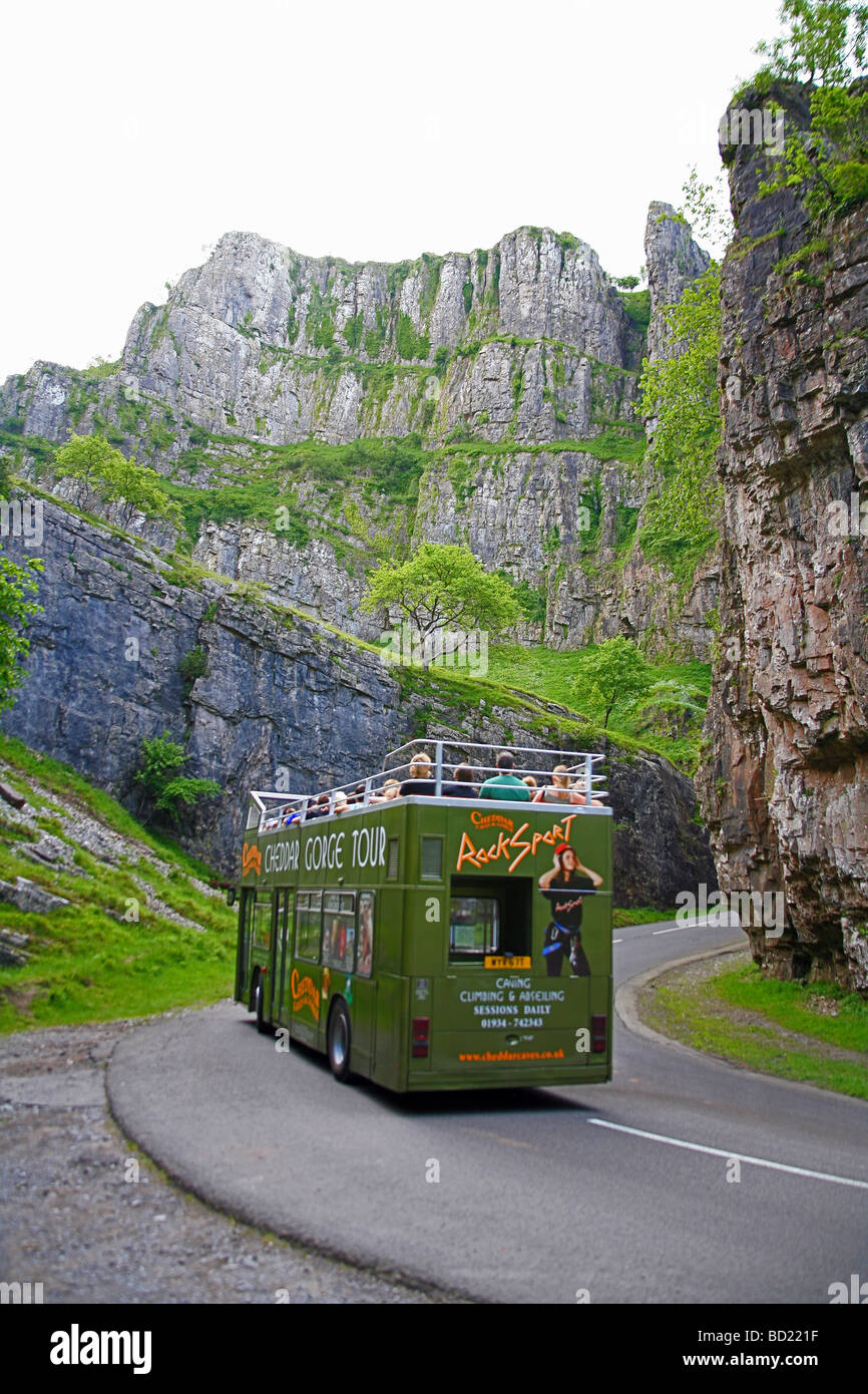 The Cheddar Gorge tour bus makes it way around Horseshoe Bend in the ...