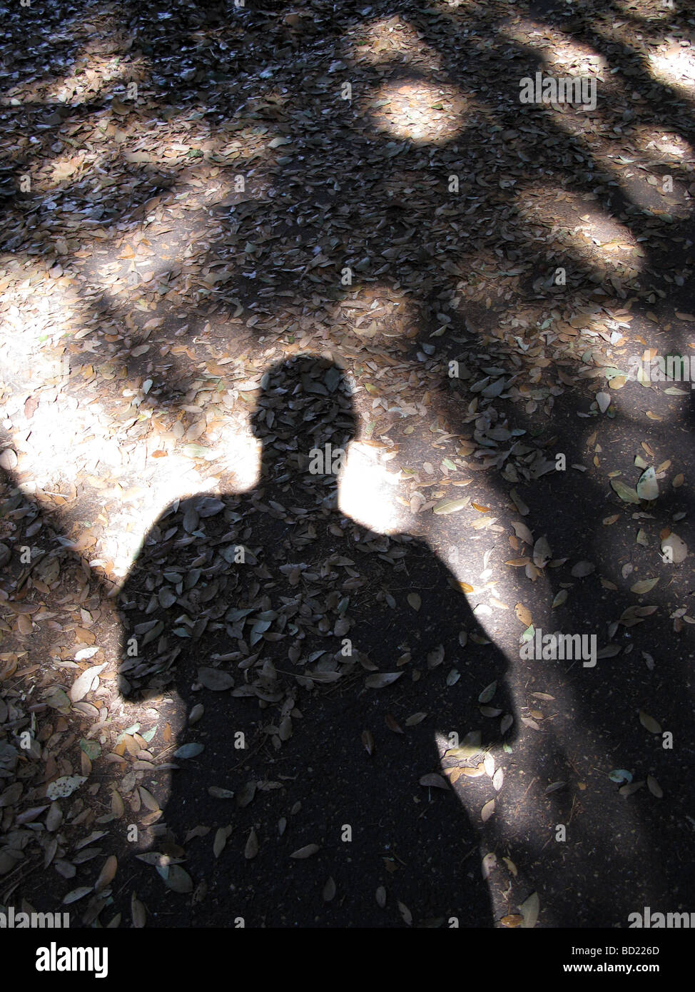 man's shadow on footpath in woods Stock Photo - Alamy