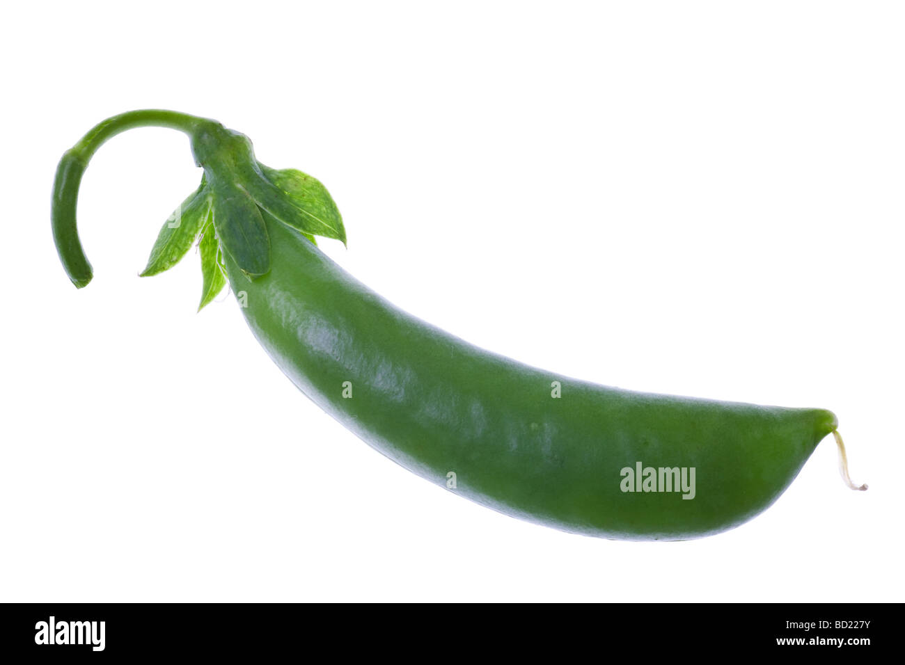 Pea pod hi-res stock photography and images - Alamy