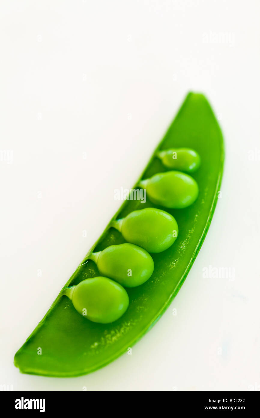 green pea pod isolated on a white background Stock Photo - Alamy