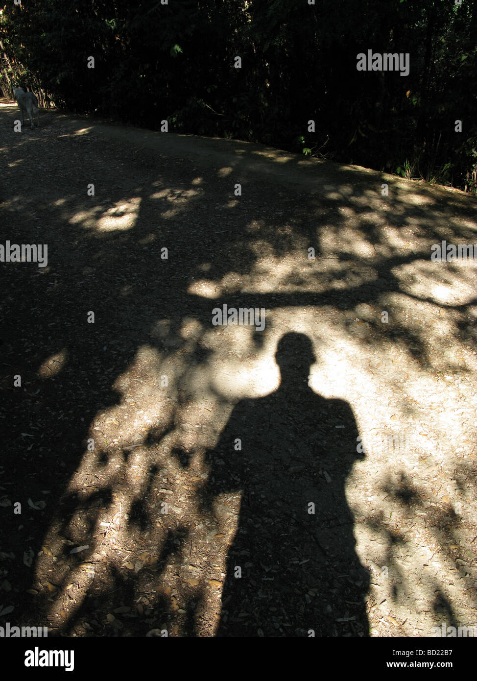 Mans shadow on ground hi-res stock photography and images - Alamy