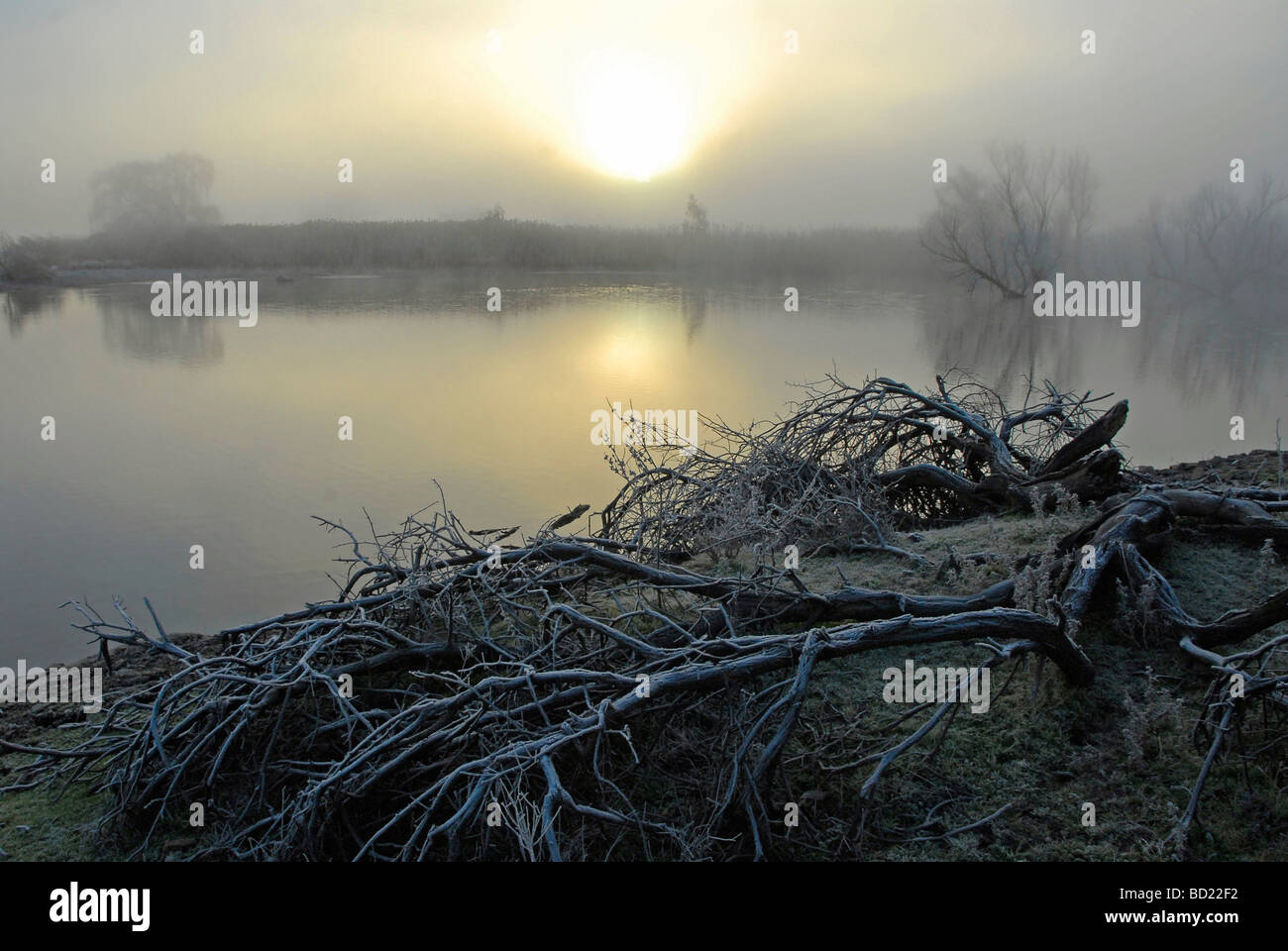 Bitterly cold hi-res stock photography and images - Alamy