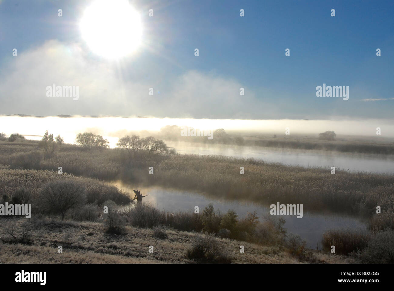 Bitterly cold hi-res stock photography and images - Alamy