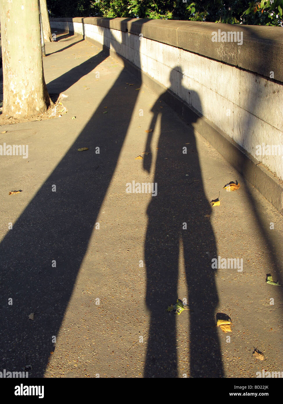 Pavement sidewalk path self portrait path footpath path foot reflection ...