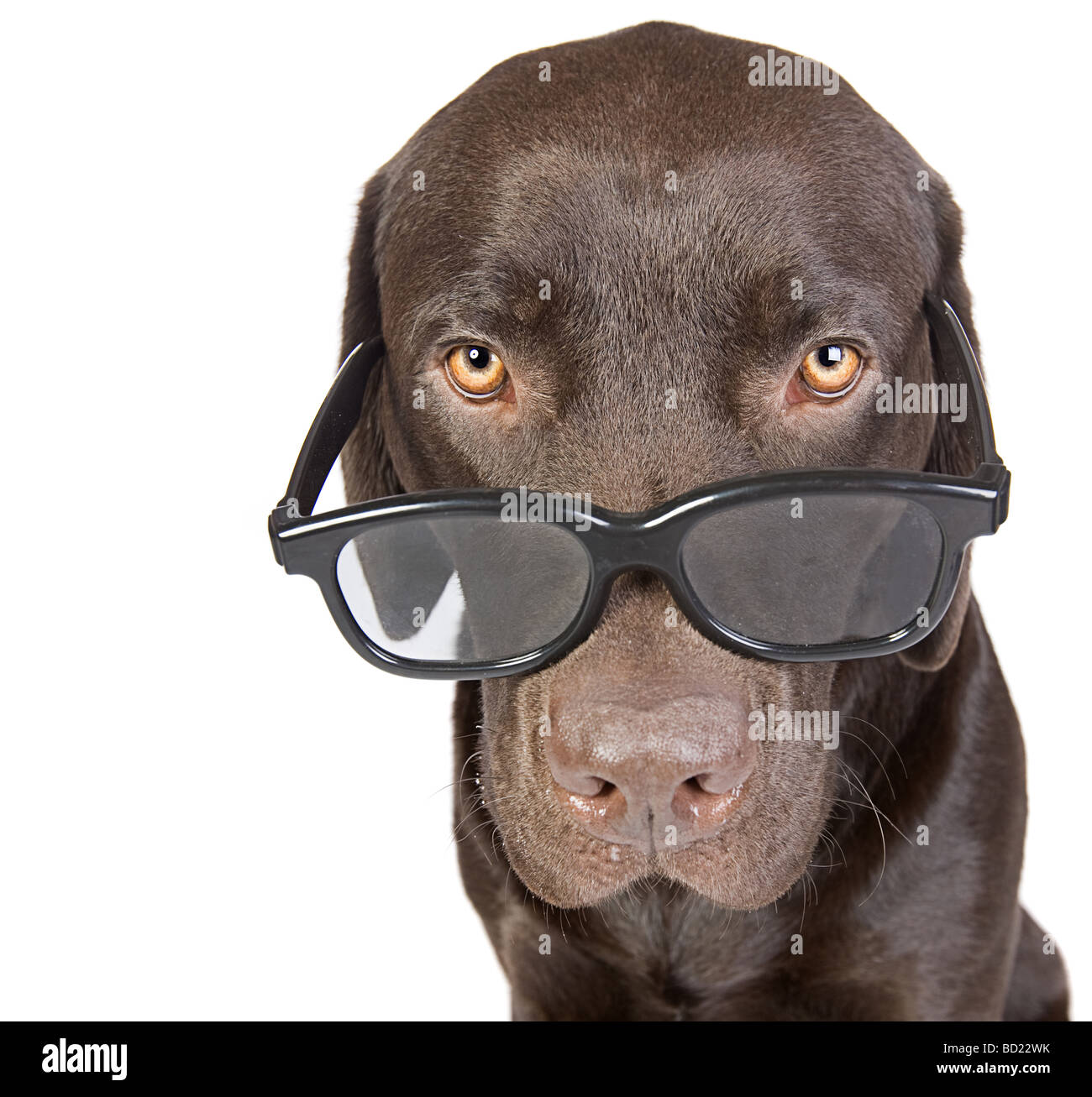Lab geek hi-res stock photography and images - Alamy