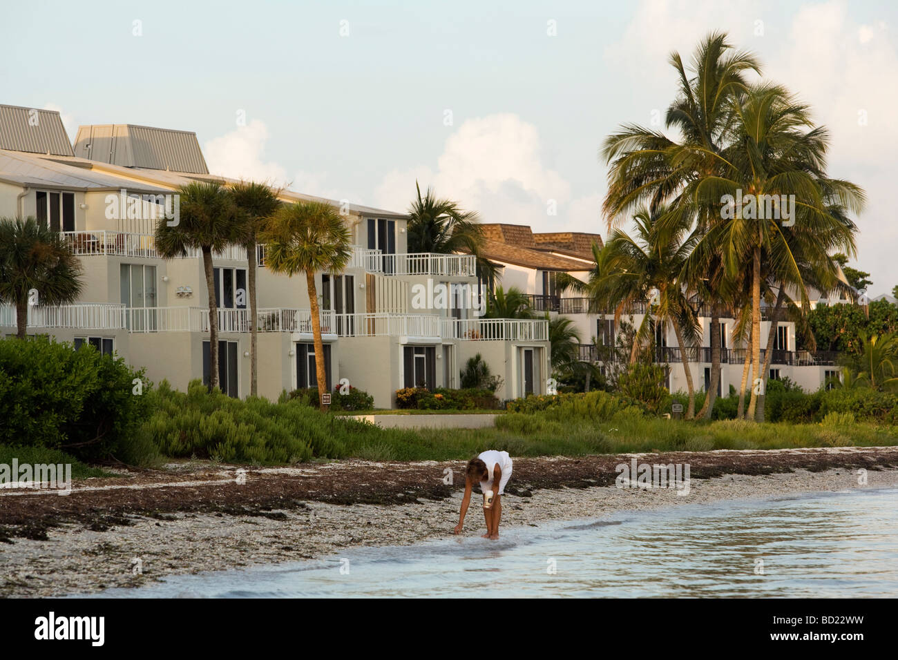Sanibel island florida and shells hi-res stock photography and images ...