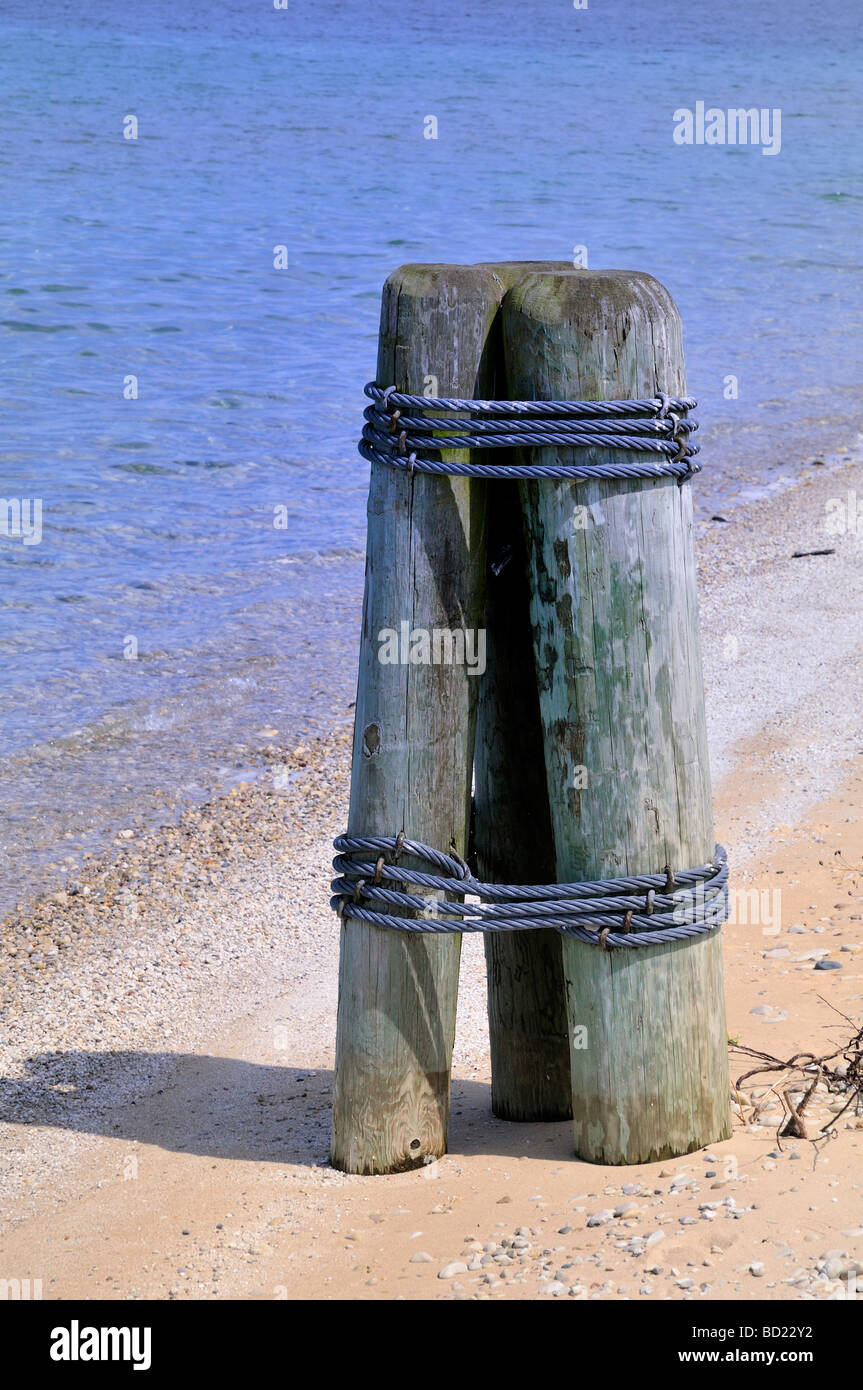 Marine piling triple wood piles bound with metal cable Stock Photo - Alamy