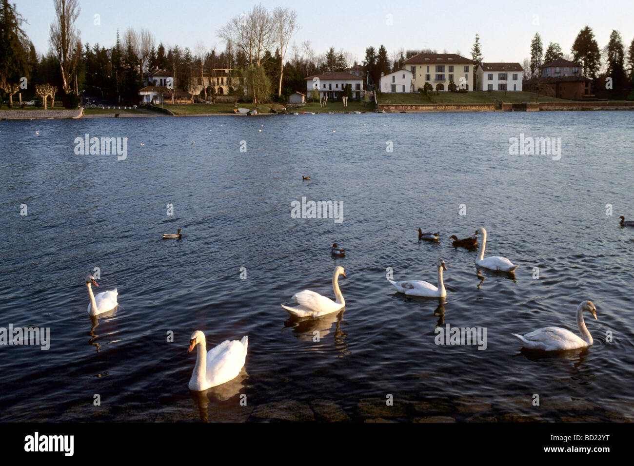 Sesto calende lake maggiore hi-res stock photography and images - Alamy