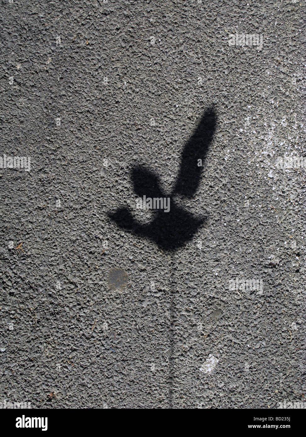 shadow of toy goose duck model on street road surface Stock Photo - Alamy