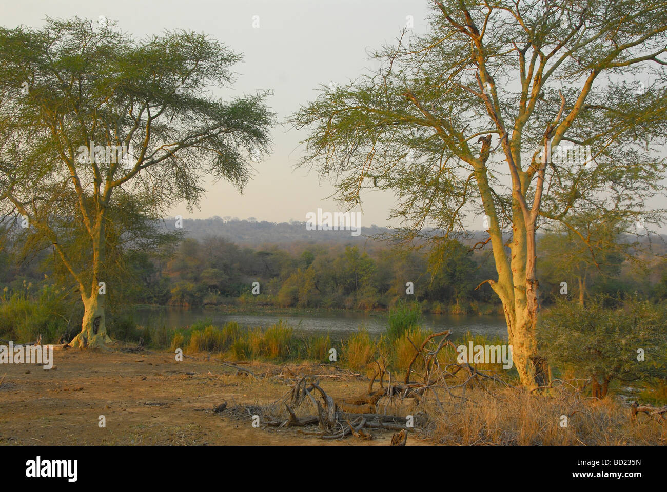 Kanniedood dam hi-res stock photography and images - Alamy