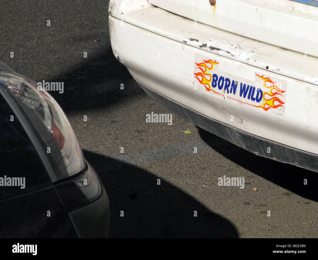born wild adhesive sticker on car bumper Stock Photo - Alamy