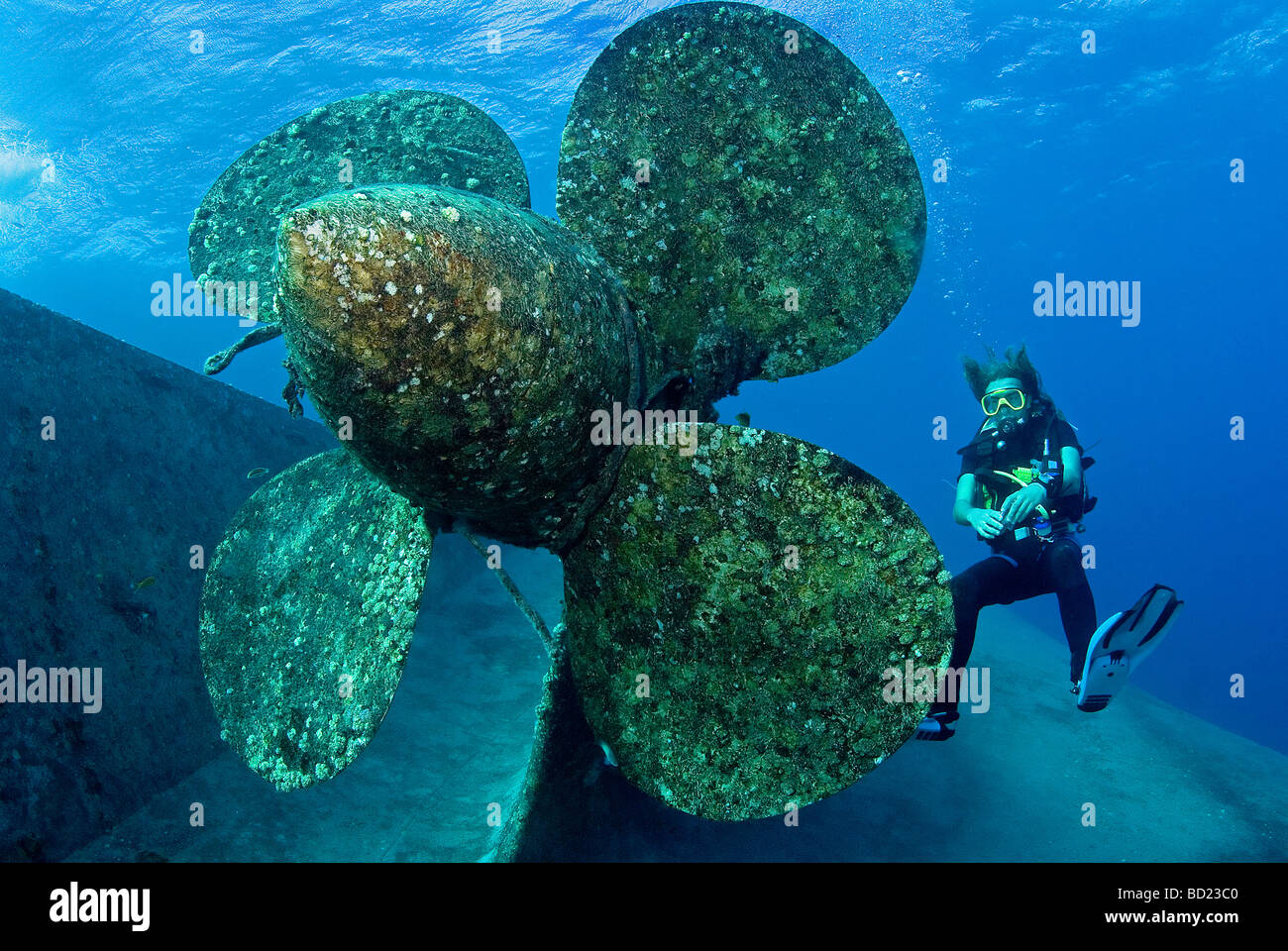 Wreck propeller hi-res stock photography and images - Alamy