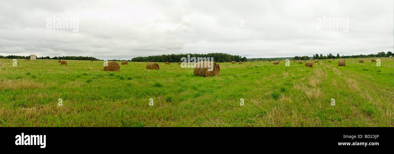 Country panoramic landscape Stock Photo - Alamy