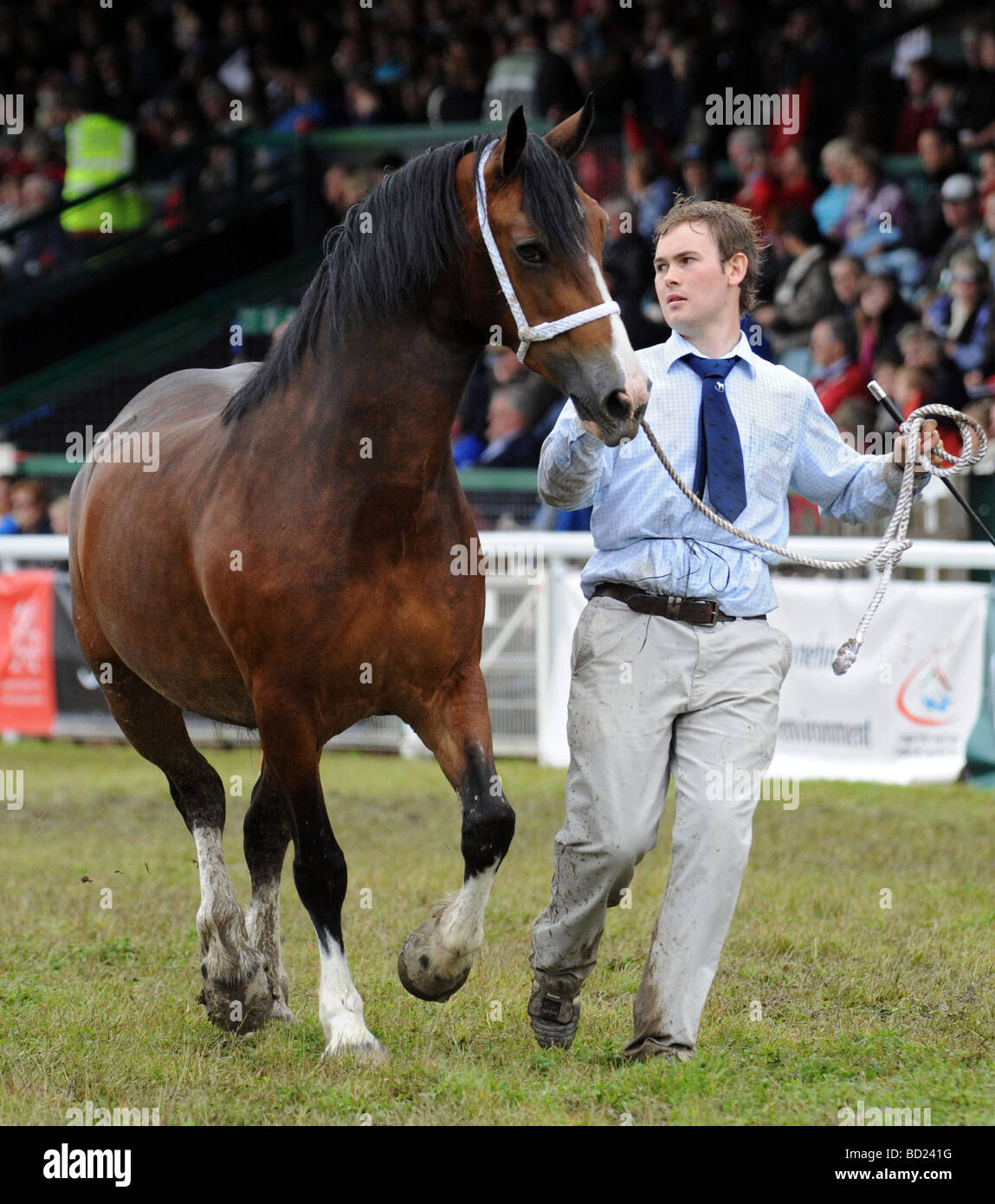 Rws hi-res stock photography and images - Alamy