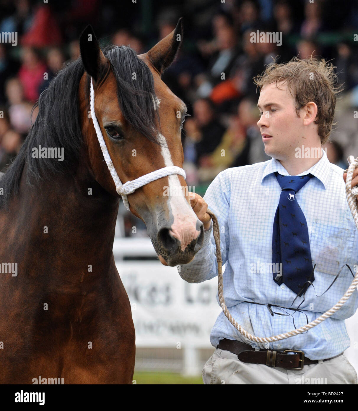 Rws hi-res stock photography and images - Alamy