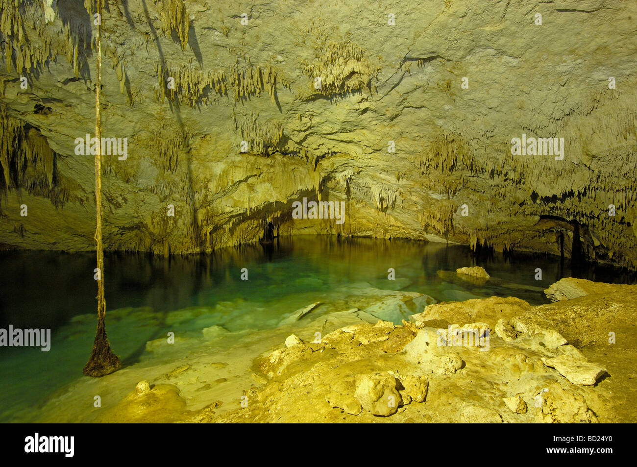 Cenote Hidden Worlds Cenotes park Tulum Quintana Roo state Mayan ...