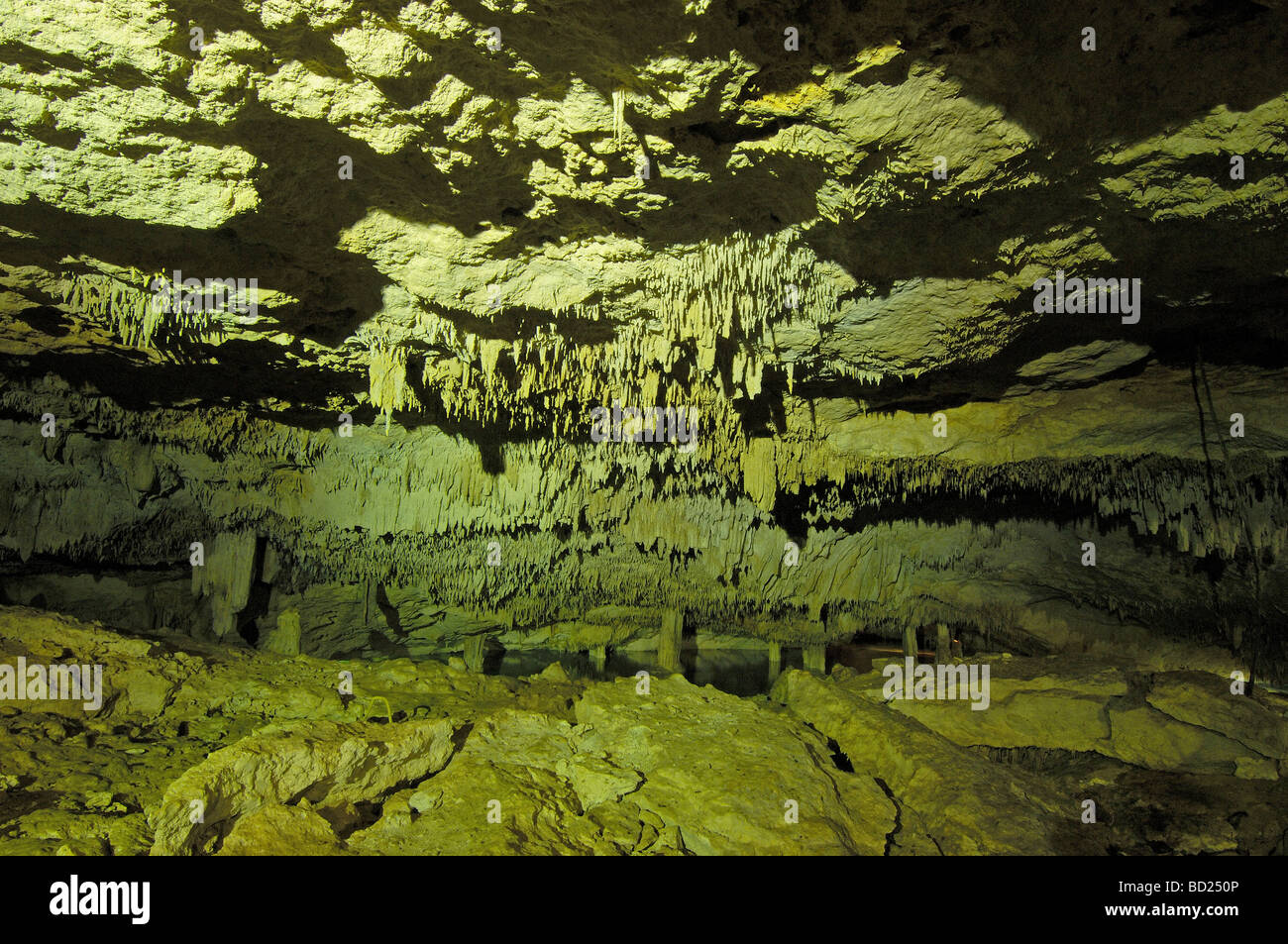 Cenote Hidden Worlds Cenotes park Tulum Quintana Roo state Mayan ...