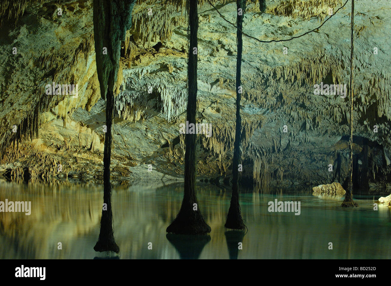 Cenotes sinkholes yucatán hi-res stock photography and images - Alamy